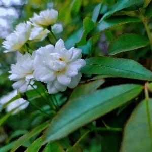 谁让闻总老房子着火了完整版在线免费阅读_谁让闻总老房子着火了小说_番茄小说官网