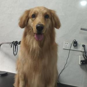 穿汉末佐曹统天下完整版在线免费阅读_穿汉末佐曹统天下小说_番茄小说官网